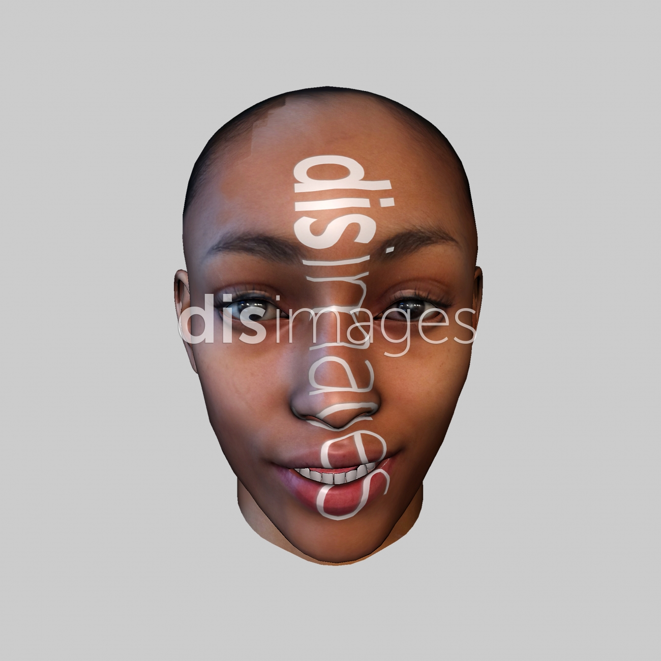 DIS Magazine | i like this art